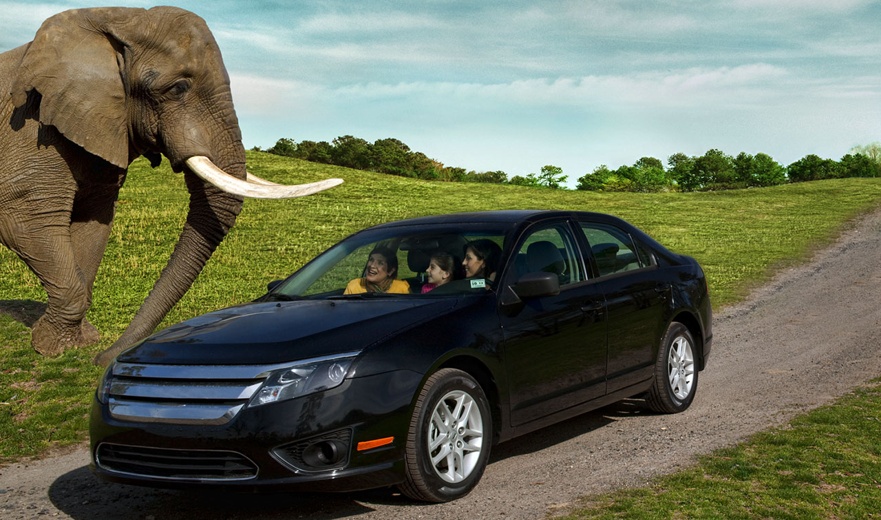 Six Flags Great Adventure Unveils Safari Drive-Through Experience ...