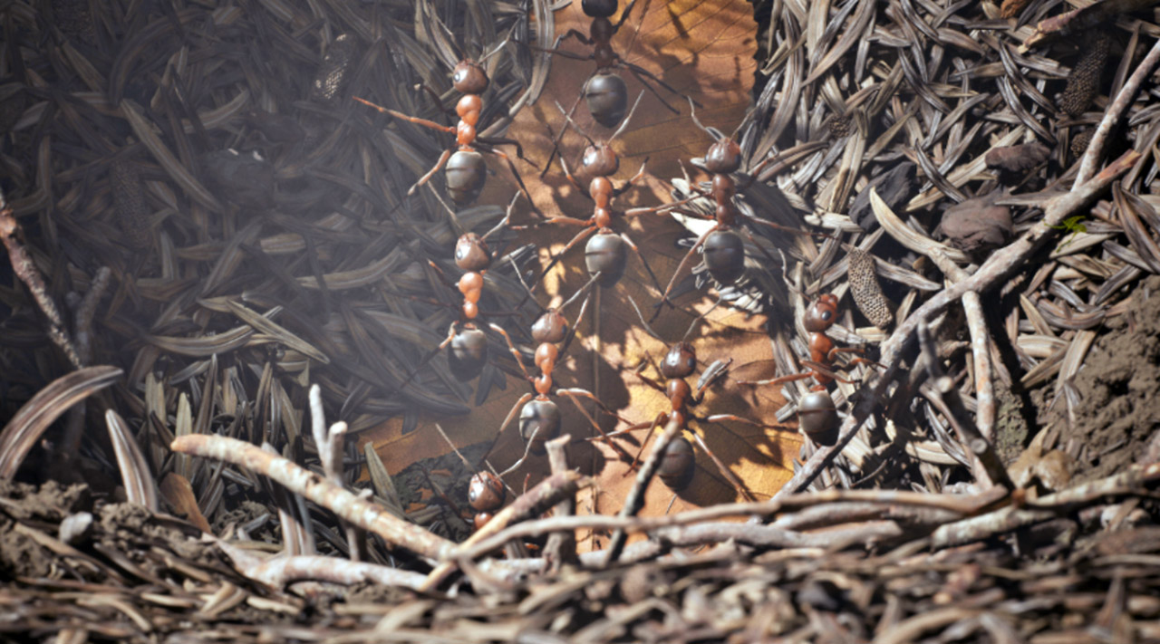 Empire of The Ants 2025 Roadmap Revealed | GamingShogun